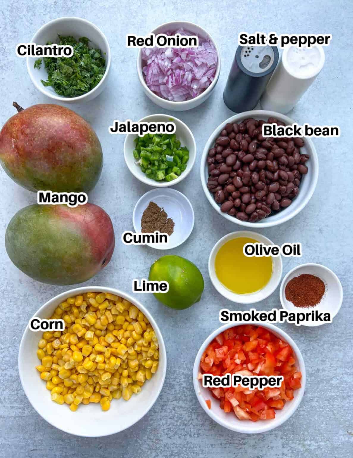 Mango Black Bean Salad | Healthy Fitness Meals