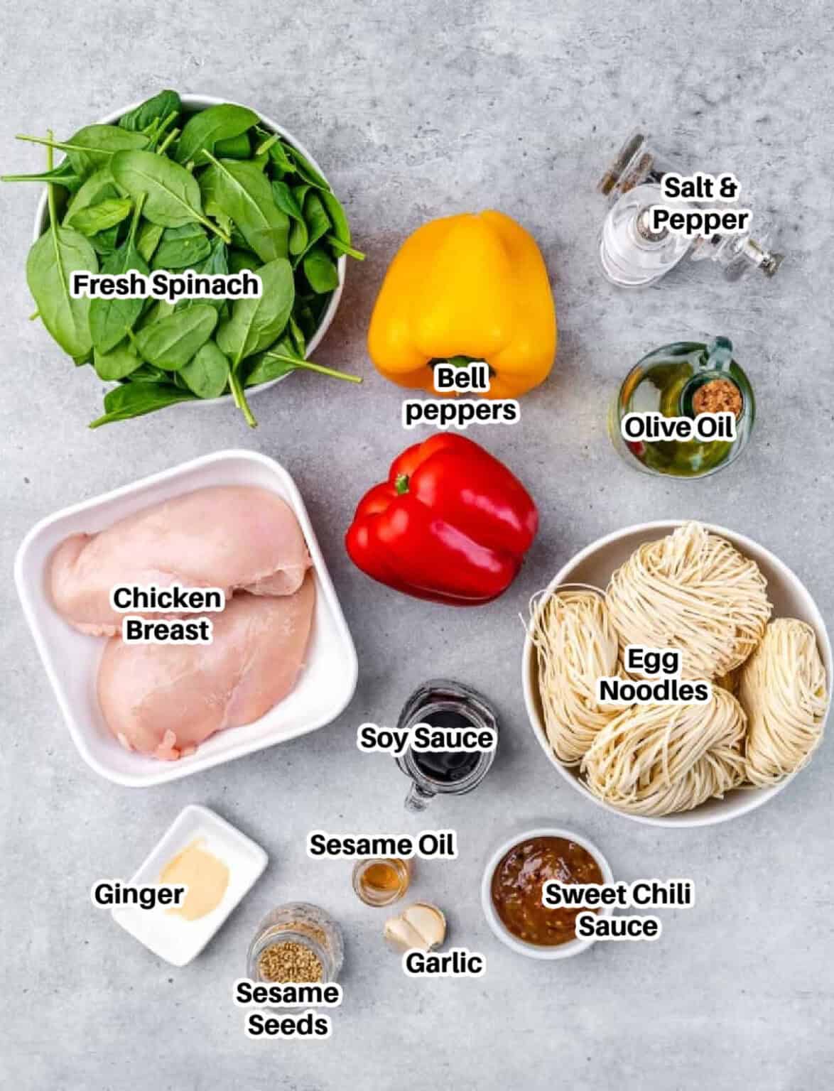 Easy Chicken Lo Mein Recipe - Healthy Fitness Meals