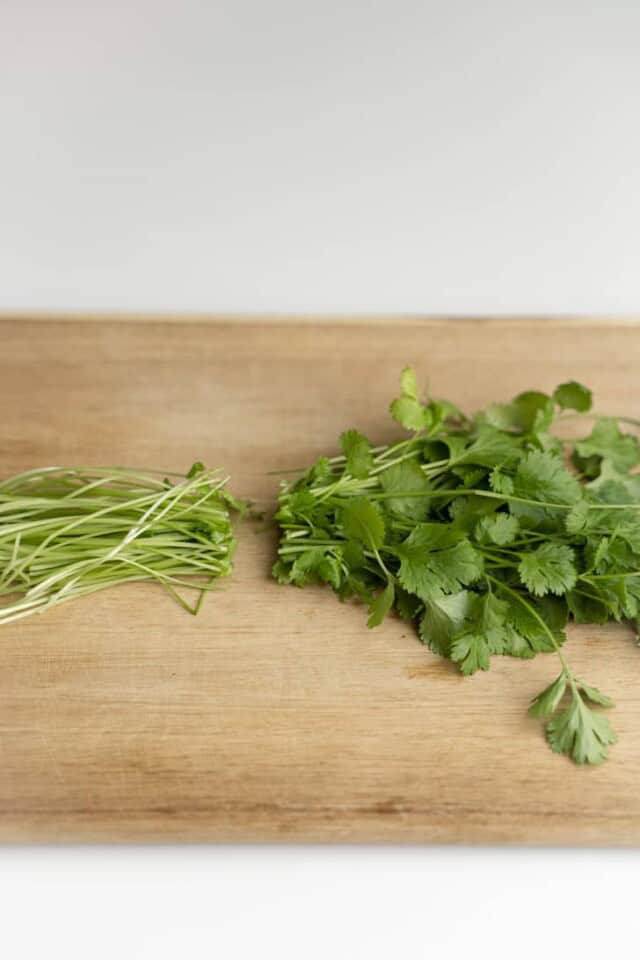 How To Cut Cilantro - Healthy Fitness Meals