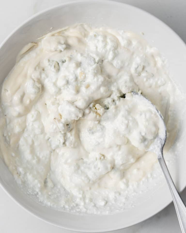 Blue Cheese Dip - Healthy Fitness Meals